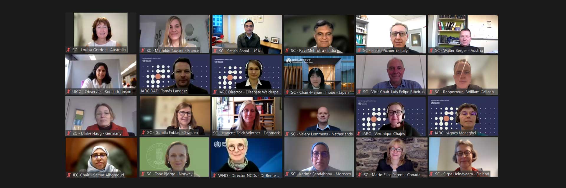 IARC Governance: Governing Councils